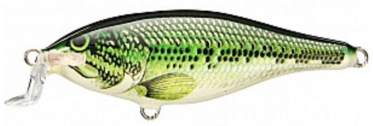 The Shallow Shad Rap – Ike's Fishing Blog
