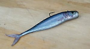 Top Secret! The Spine Rig – Ike's Fishing Blog