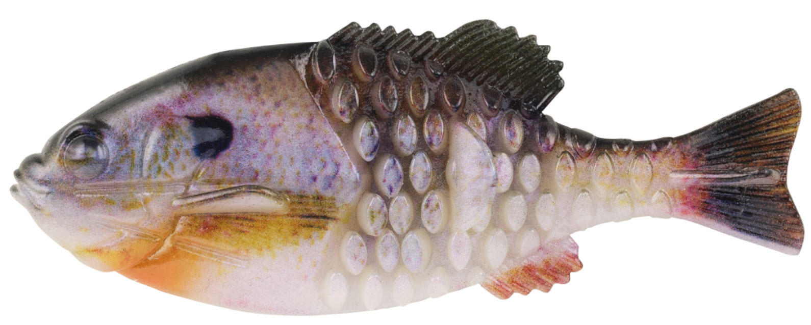 A Different Plastic Bait: Gilly – Ike's Fishing Blog