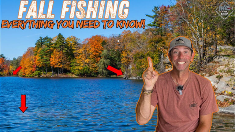 The Three Stages of Fall Bass Fishing: Unlocking the Secrets! – Ike's ...